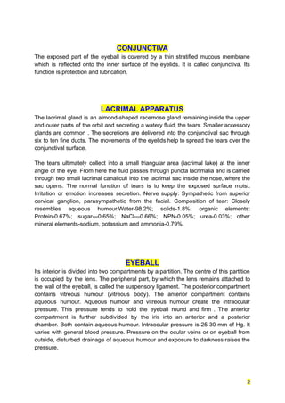 Special Senses: Eye | Physiology and Anatomy | Assignment | PDF