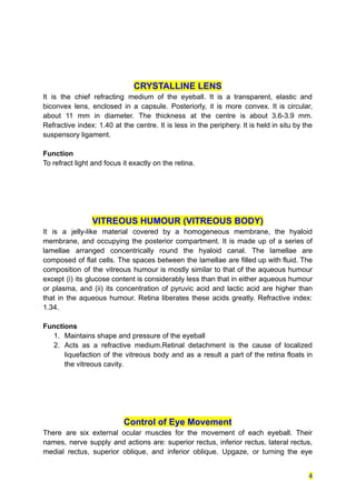 Special Senses: Eye | Physiology and Anatomy | Assignment | PDF