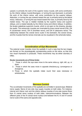 Special Senses: Eye | Physiology and Anatomy | Assignment | PDF | Eye ...