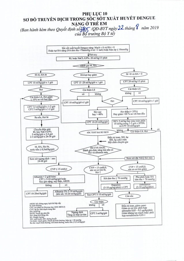 Phác đồ SXH 2019 - Bộ Y tế | PDF