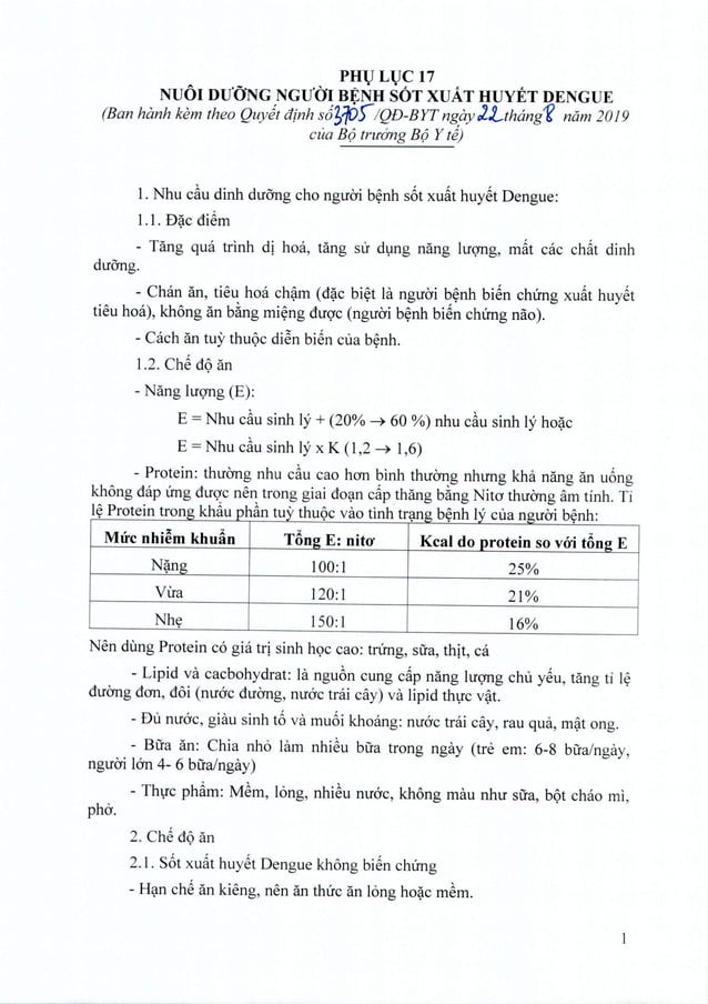 Phác đồ SXH 2019 - Bộ Y tế | PDF