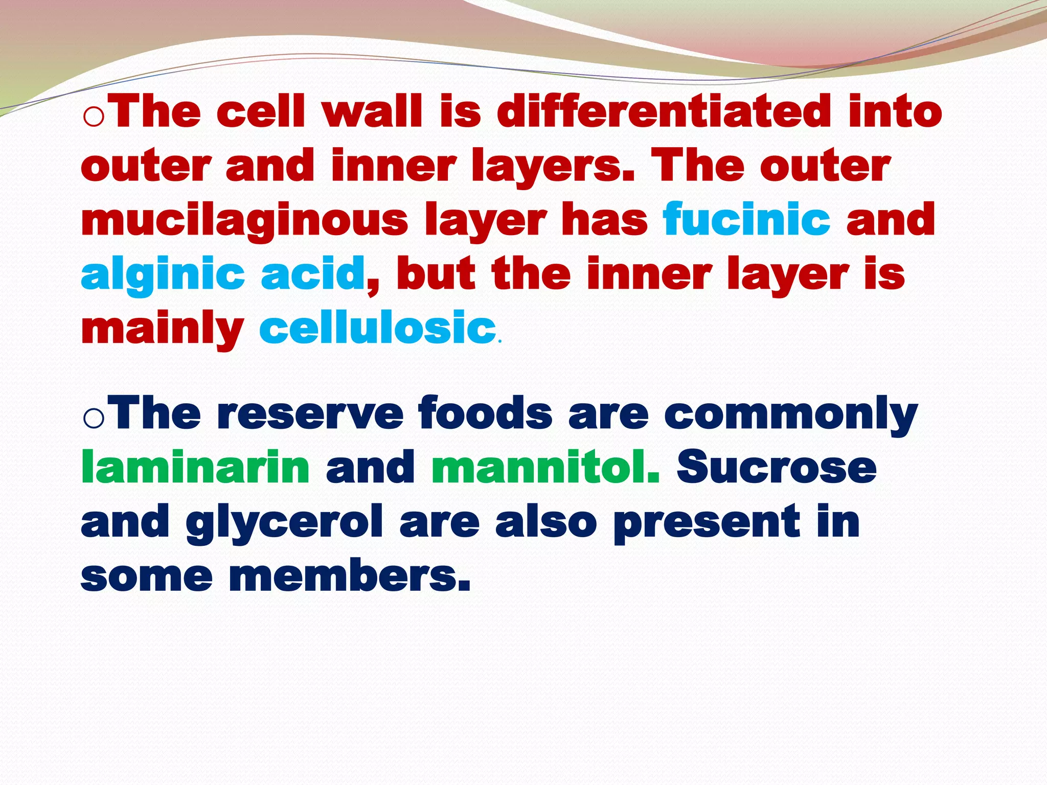 Phaeophyceae Brown Algae | PPTX