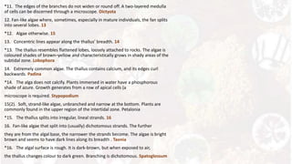 Phaeophyta | PPTX
