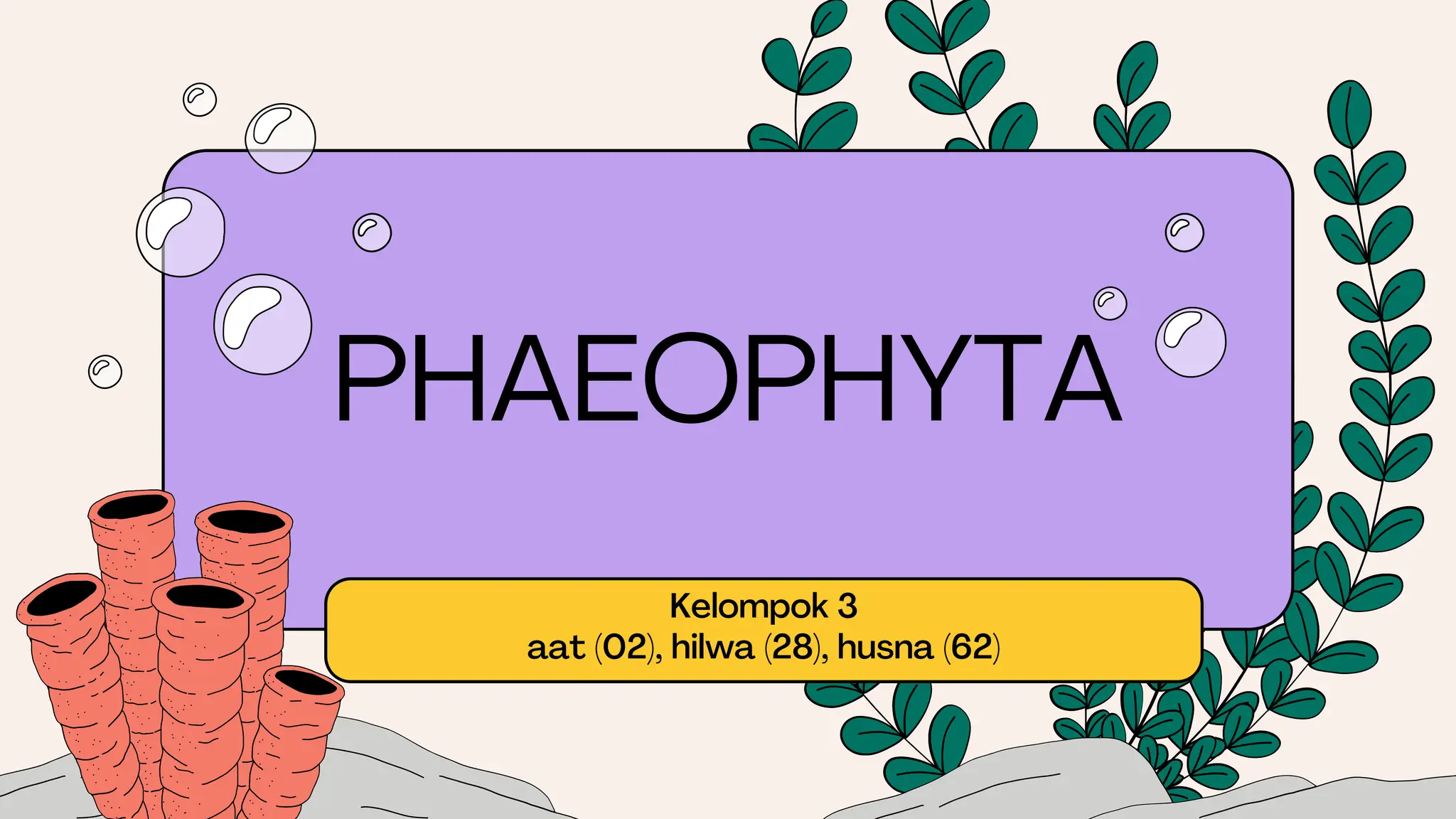 PHAEOPHYTA KEL 3 MATERI KULIAH SAINTEK BIO | PDF