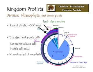 The kingdom protista | PPT