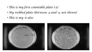 Phage | PPT