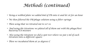 Phage | PPT