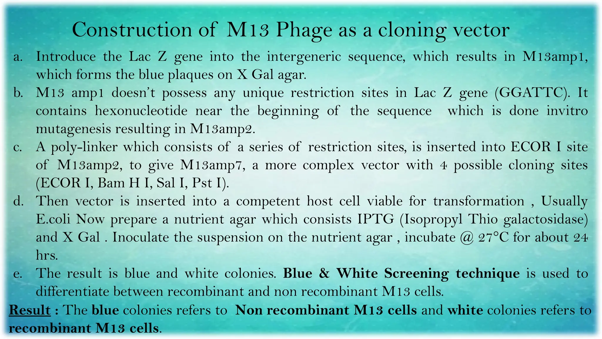 Phage or Bacteriophage as Vector ...pptx