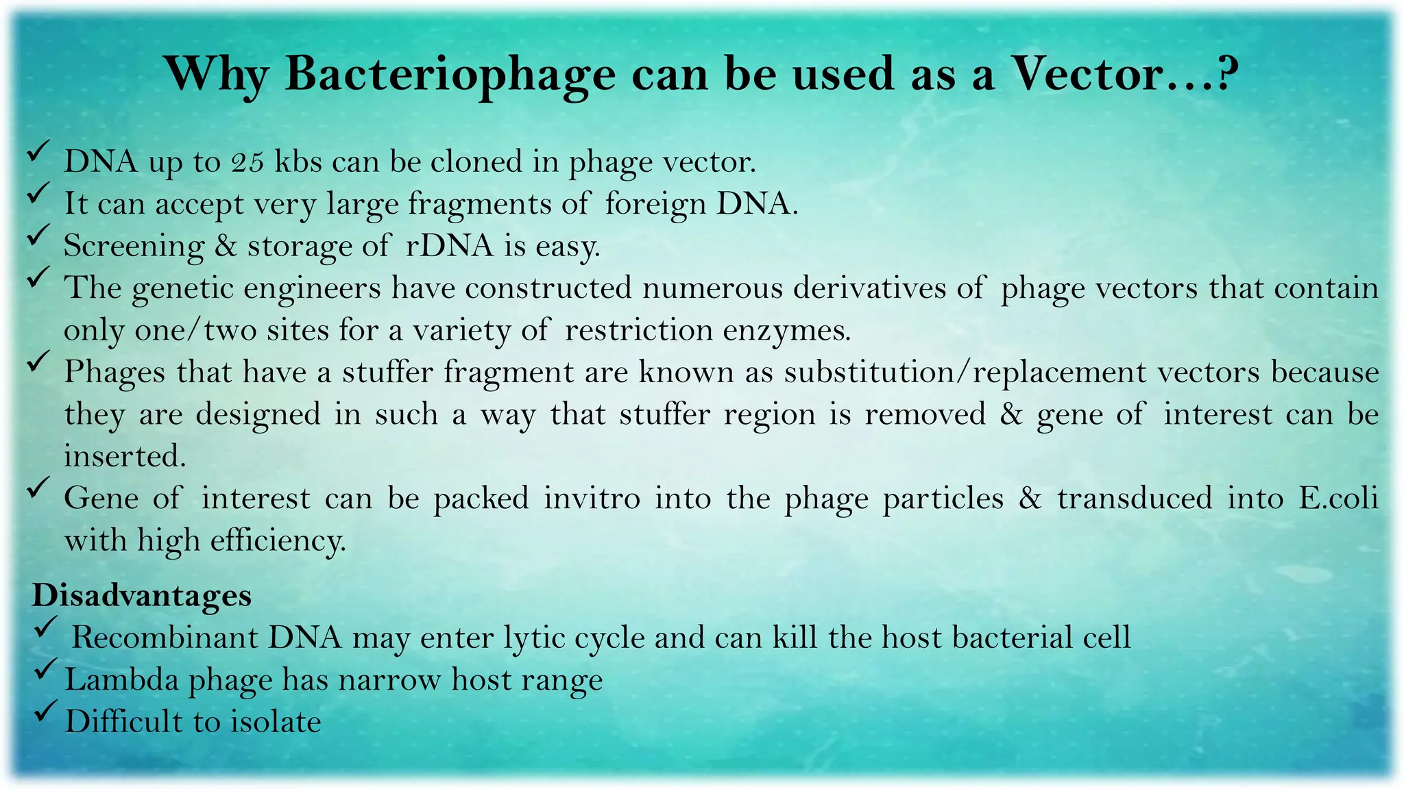 Phage or Bacteriophage as Vector ...pptx