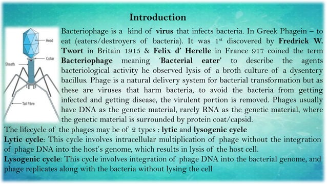Phage or Bacteriophage as Vector ...pptx