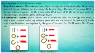 Phage or Bacteriophage as Vector ...pptx