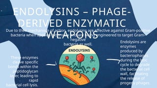 Phage-Derived Antimicrobials and Endolysins (1).pptx