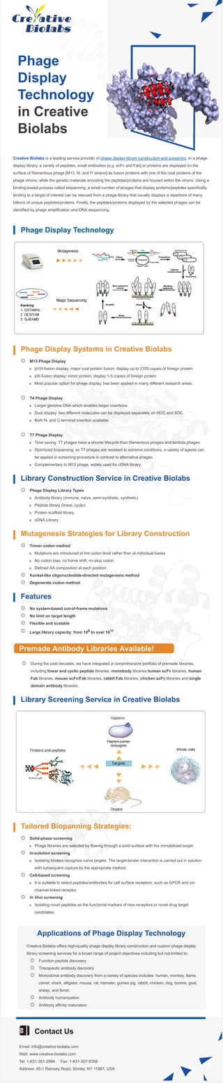 Phage display technology | PDF