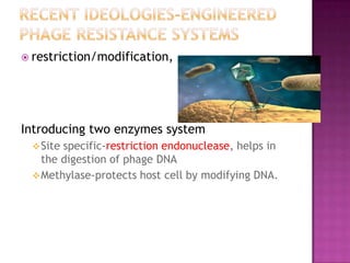 Phage in dairy 3rd group | PPTX