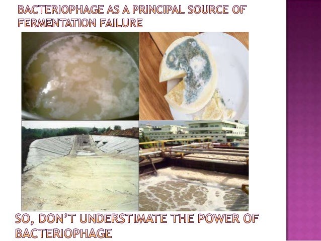 Phage in dairy 3rd group