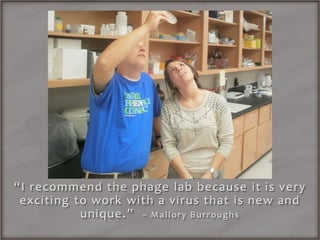 HHMI PHAGES lab at OBU | PPT | Biotech and Biomedical Industry | Industries