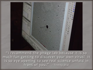 HHMI PHAGES lab at OBU | PPT