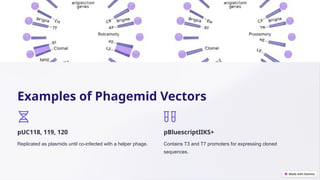Phagemid-Vectors-Hybrids-of-Plasmids-and-M13-Vectors.pptx