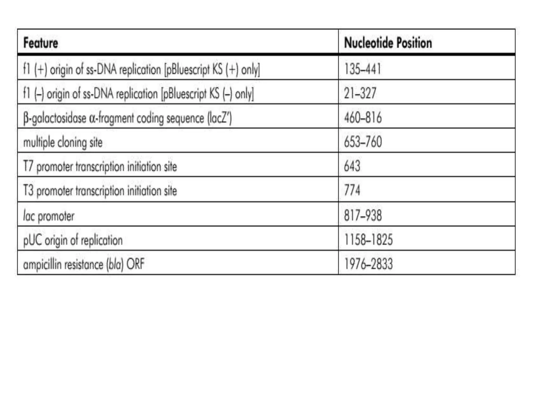 Phagemid and bac vectors | PPTX