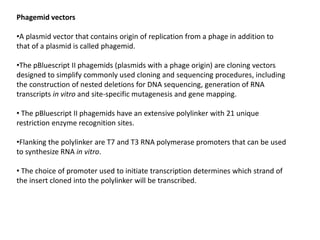 Phagemid and bac vectors | PPTX | Chemistry | Science
