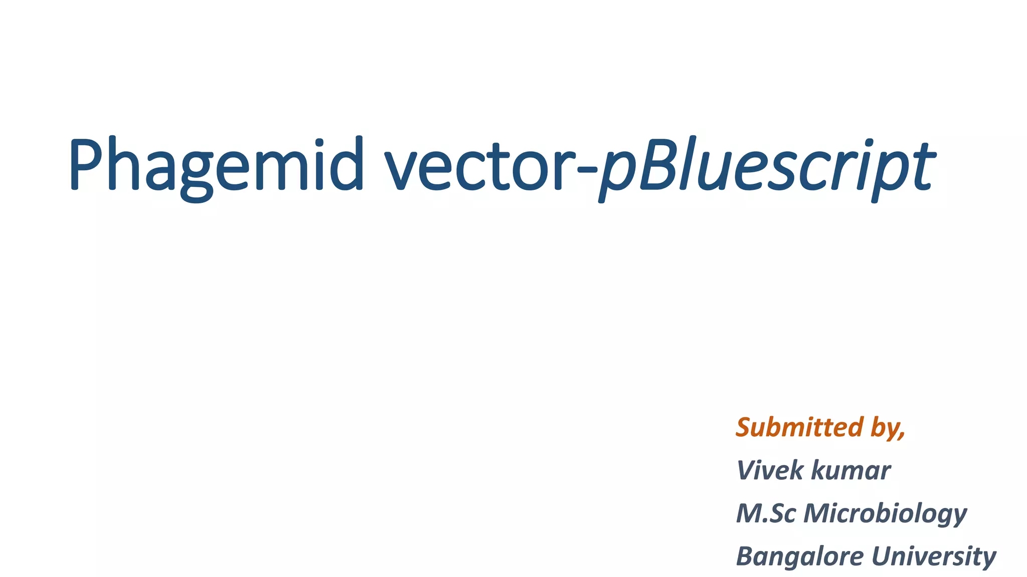 Phagemid vector | PPTX