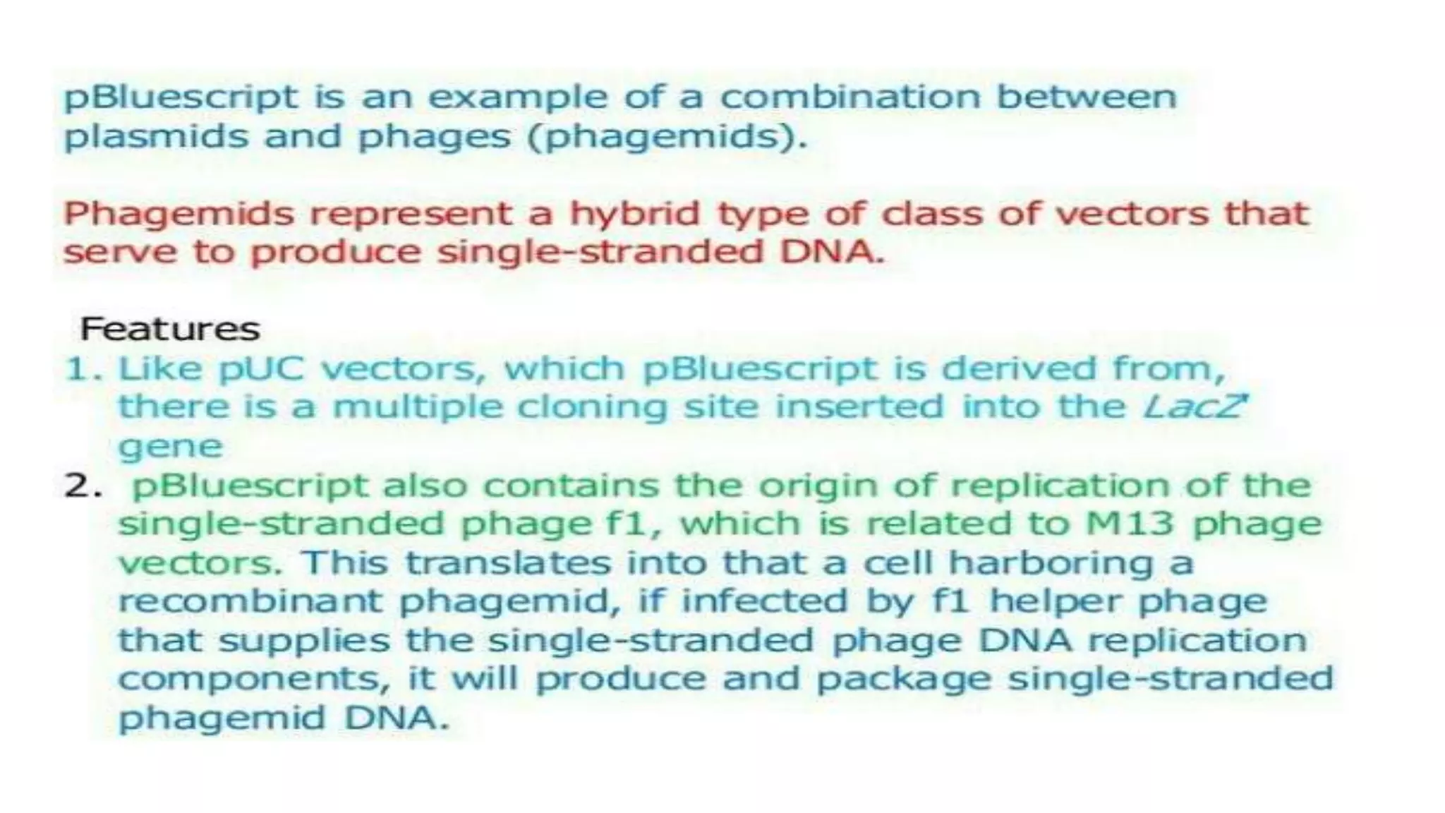 Phagemid vector | PPTX