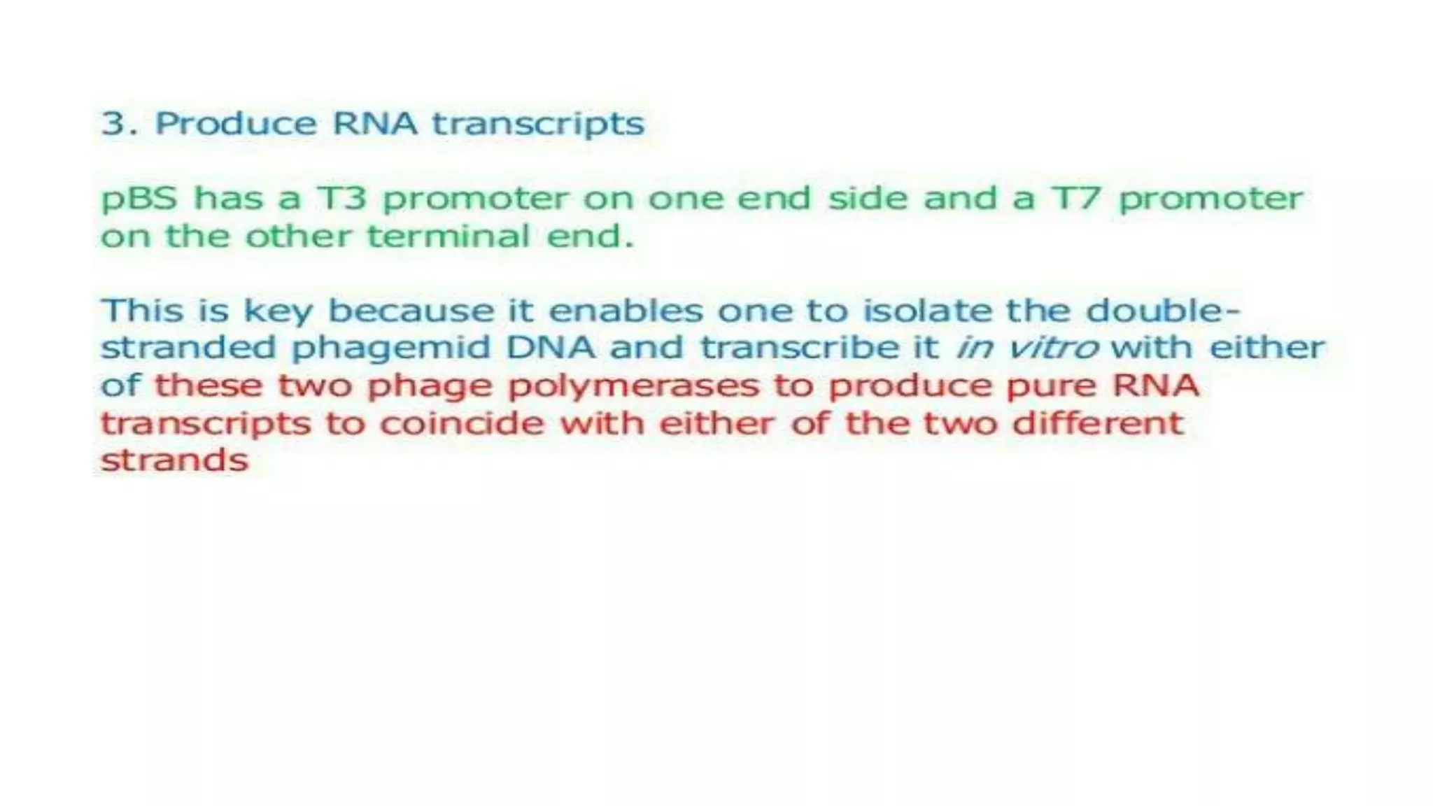 Phagemid vector | PPTX