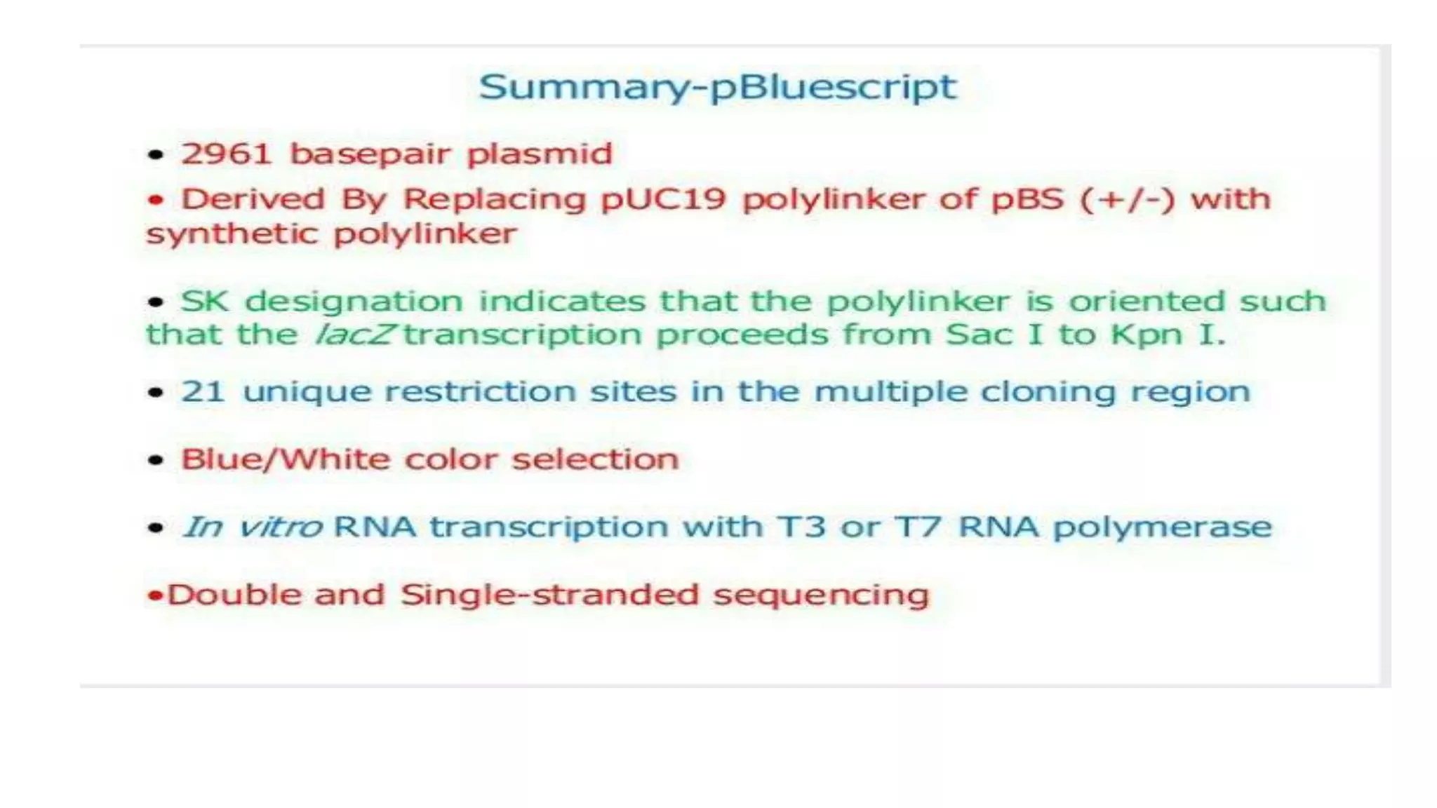 Phagemid vector | PPTX