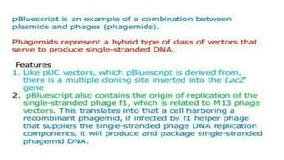 Phagemid vector | PPTX