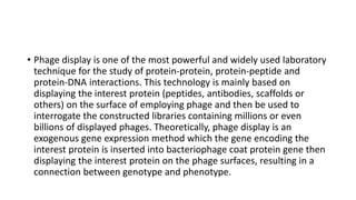 Phage panning | PPT