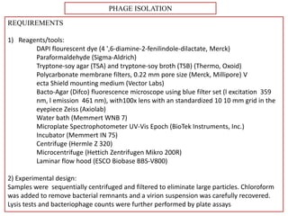 Protocol for Phage isolation - flowchart | PPT