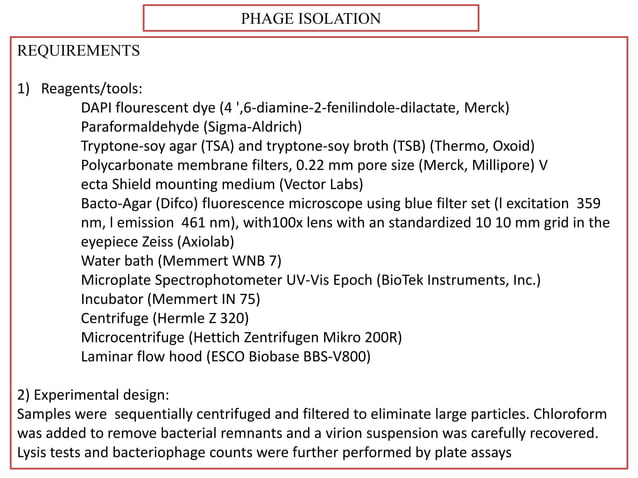 Protocol for Phage isolation - flowchart | PPTX