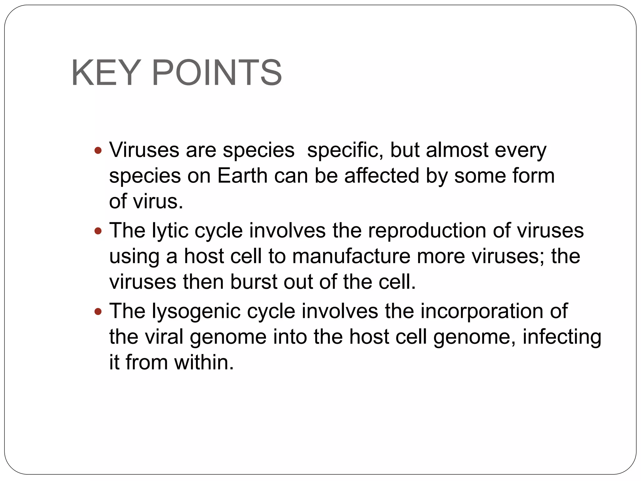 Phage Replication Cycles Ppt