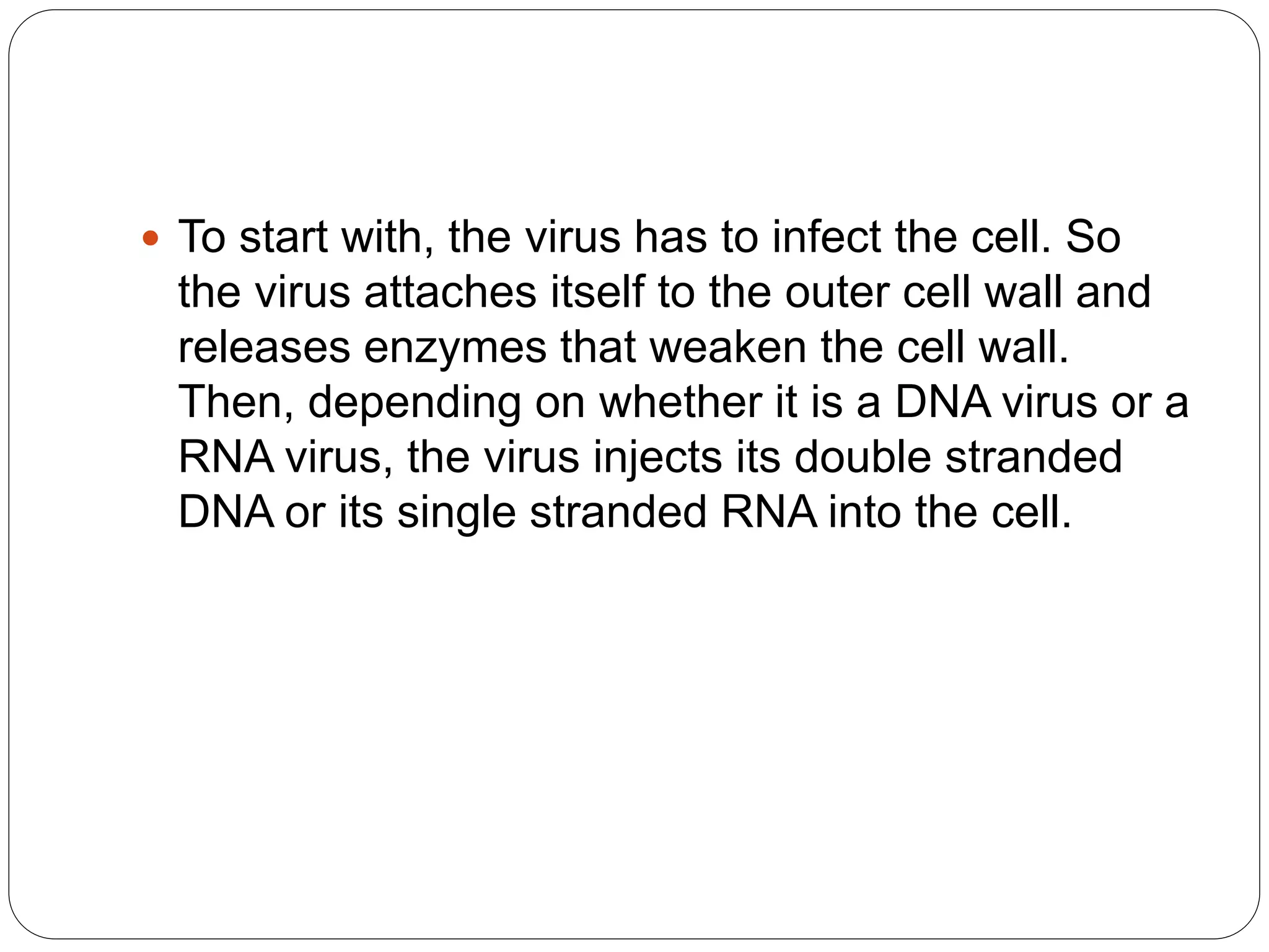 Phage Replication Cycles Ppt
