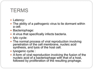 Phage replication cycles | PPT