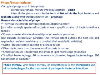 Phages.pptx