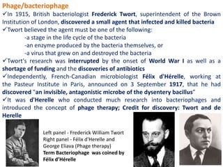 Phages.pptx