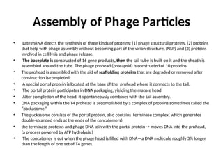Phages or bacteriophages- overview .pptx
