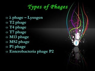 Phage therapy | PPT