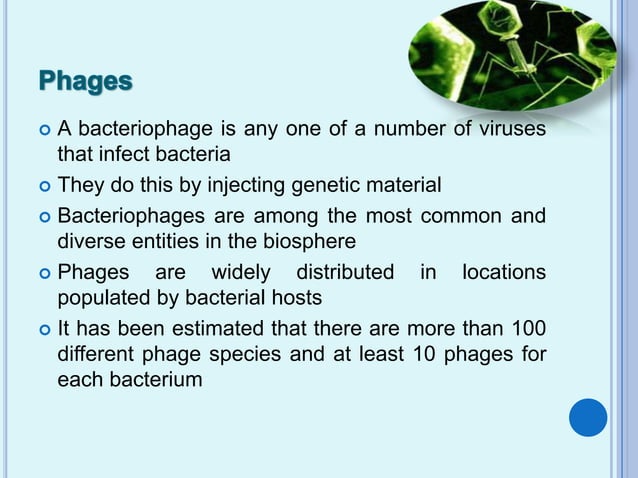 Phage therapy | PPTX