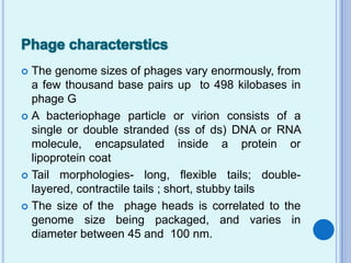 Phage therapy | PPTX