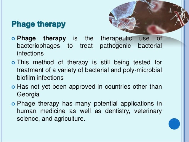 Phage Therapy