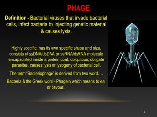 History of the Forgotten Cure - Phage therapy | PPT