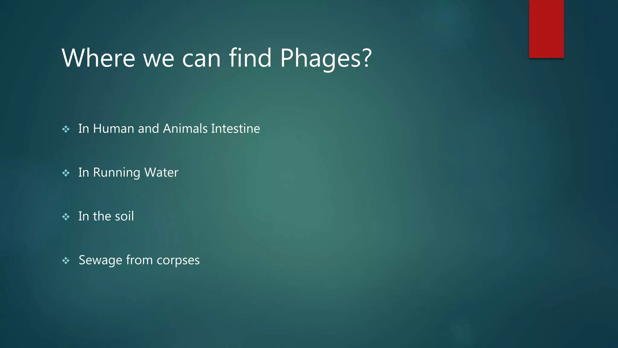 Phage therapy | PPTX