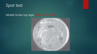 Phage therapy | PPTX