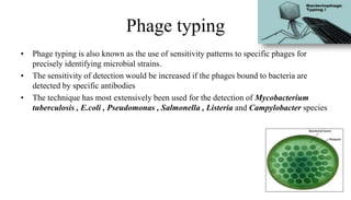 Phage Therapy.pptx