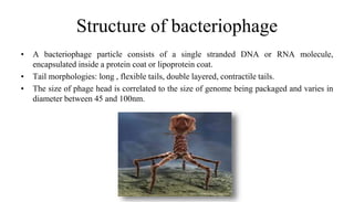 Phage Therapy.pptx
