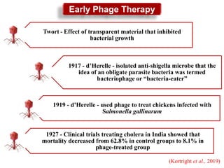 Phage Therapy - A Novel Alternative to Antibiotics to Combat Bovine ...