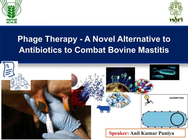 Phage Therapy - A Novel Alternative to Antibiotics to Combat Bovine Mastitis.pptx