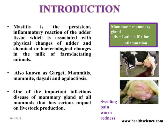 Phage Therapy - A Novel Alternative to Antibiotics to Combat Bovine Mastitis.pptx